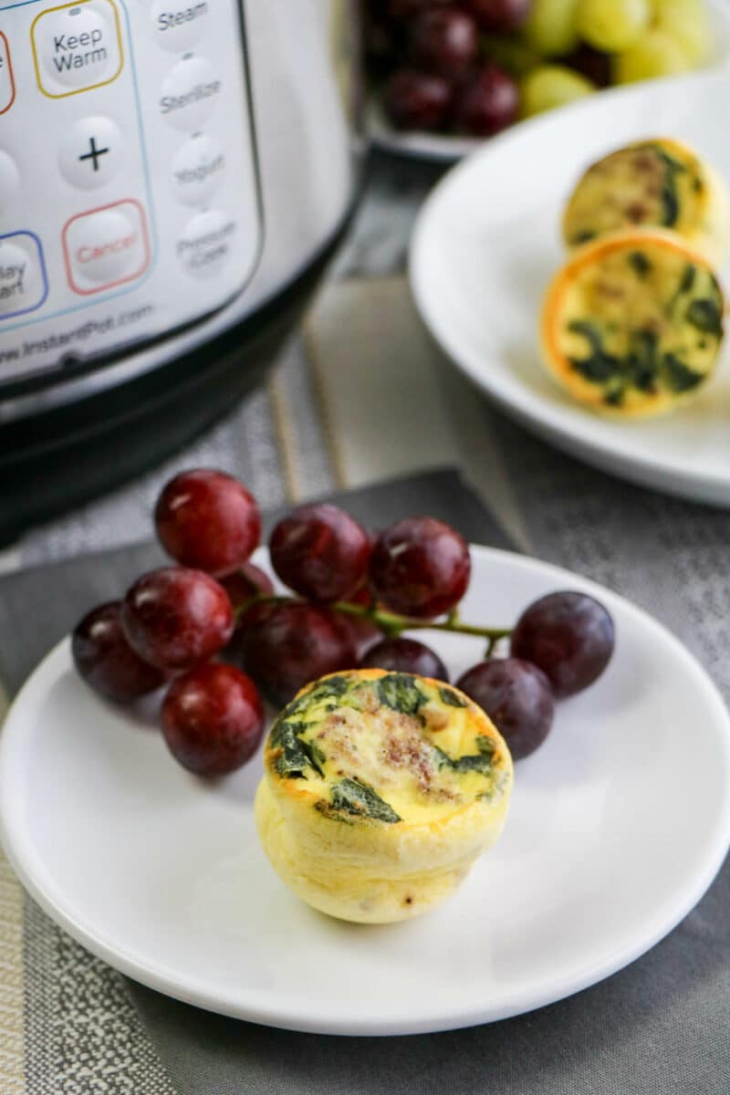 Instant Pot Egg Bites (Starbucks Copycat Recipe) - Couch Potato Camping