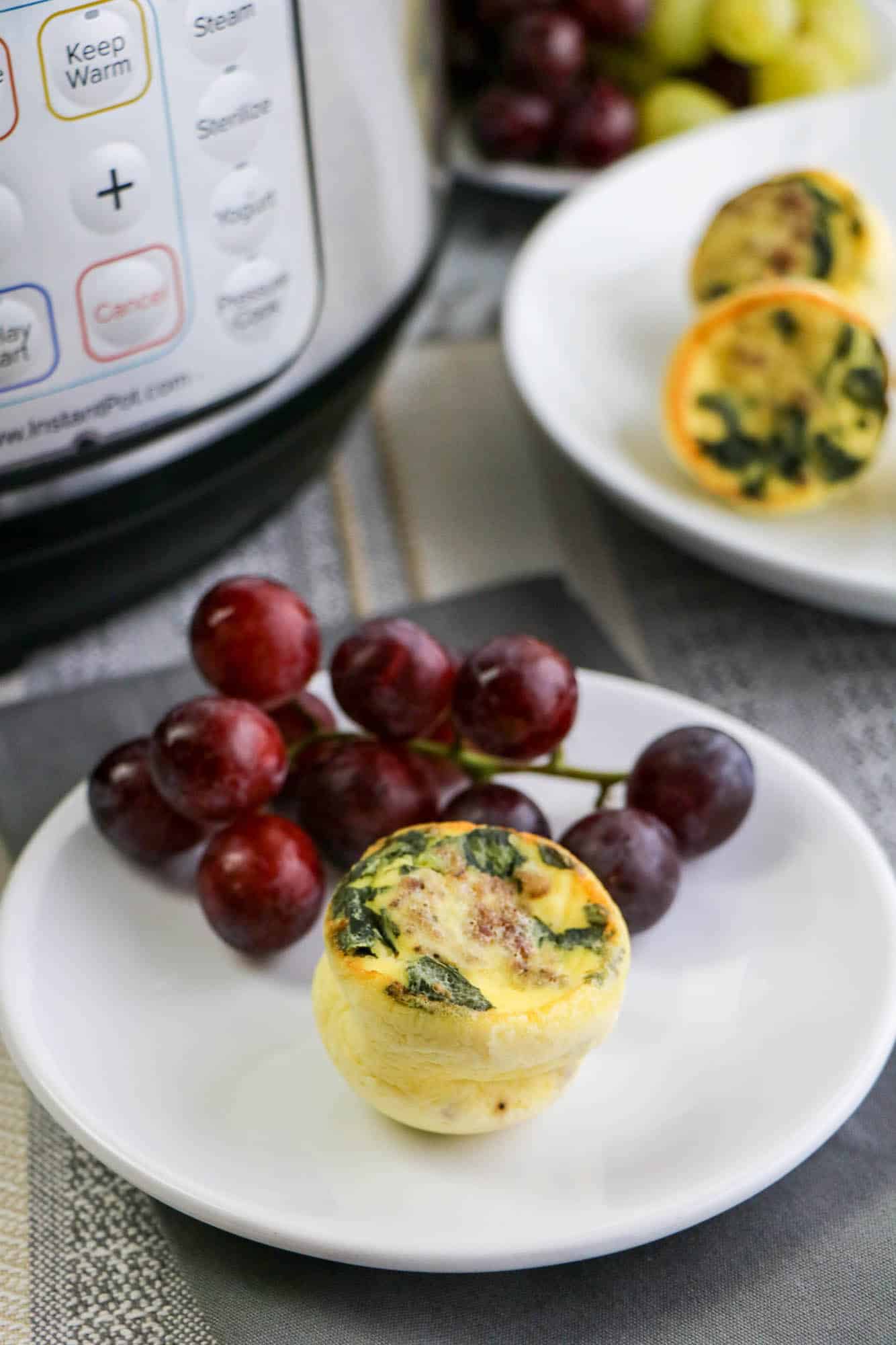 Instant Pot Egg Bites (Starbucks Copycat Recipe) - Couch Potato Camping