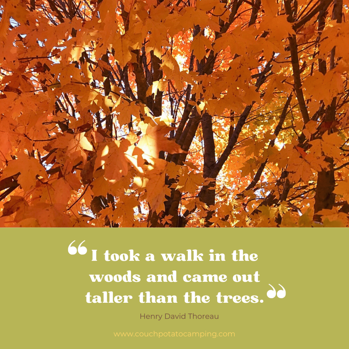 30 Funny and Inspirational Quotes for Camping and RVing - Couch Potato ...