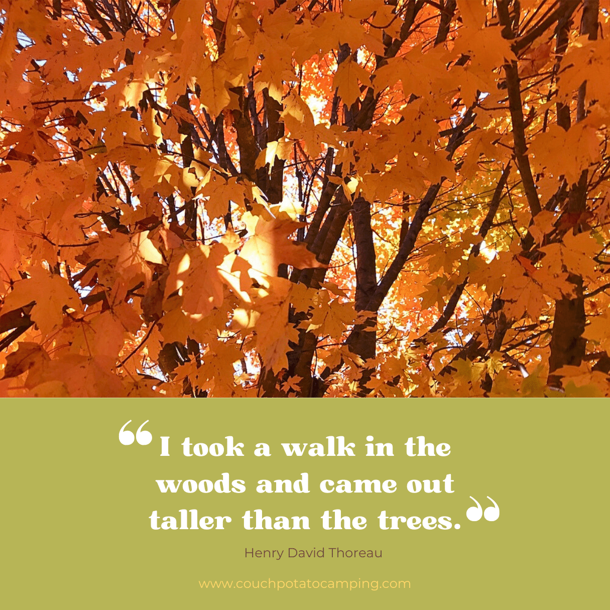 30 Funny and Inspirational Quotes for Camping and RVing - Couch Potato ...