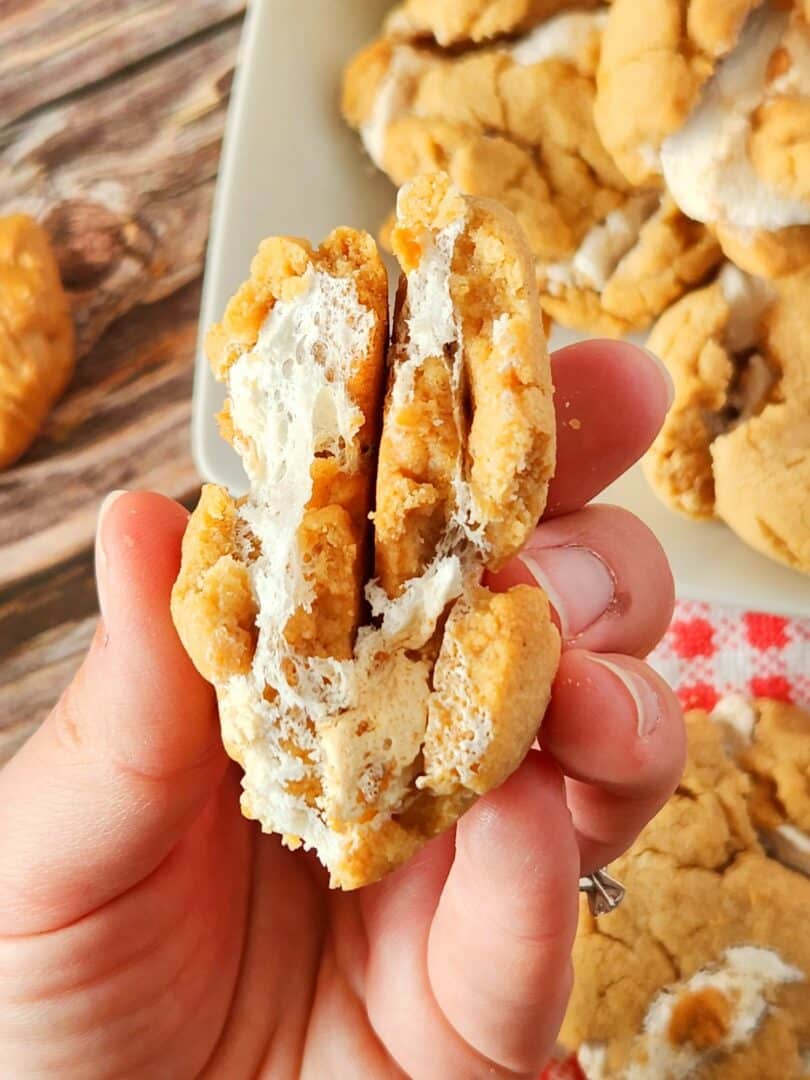 Fluffer Nutter Cookies Recipe: Perfect Camping Dessert for a Sweet ...