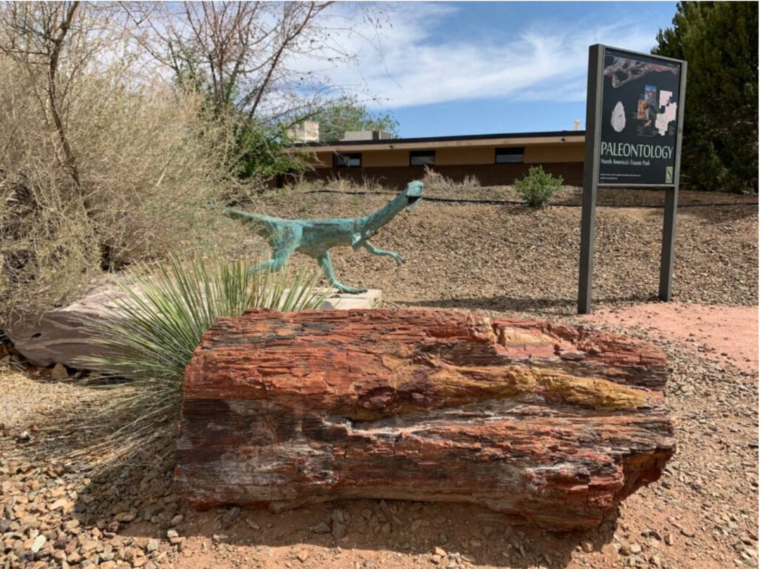33 Petrified Forest National Park Travel Tips for 2024 - Couch Potato ...