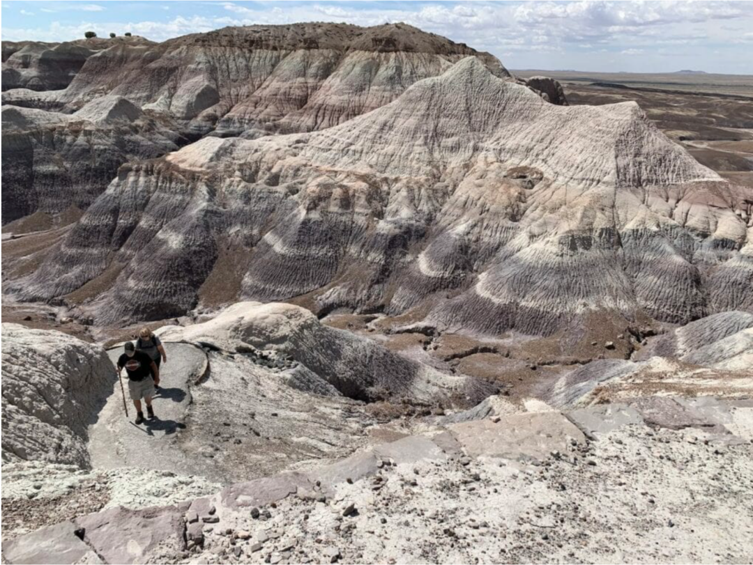 33 Petrified Forest National Park Travel Tips for 2024 - Couch Potato ...
