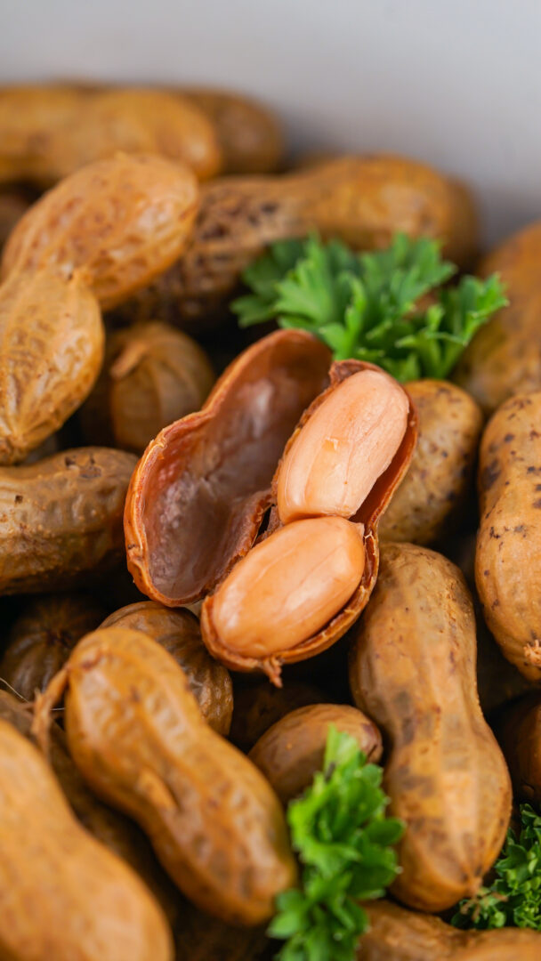 How to Make Crockpot Boiled Peanuts - Couch Potato Camping