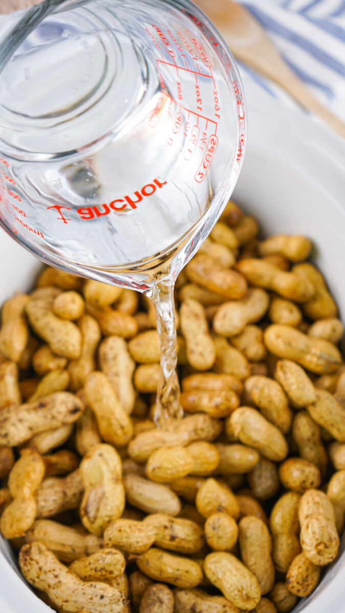 How to Make Crockpot Boiled Peanuts - Couch Potato Camping